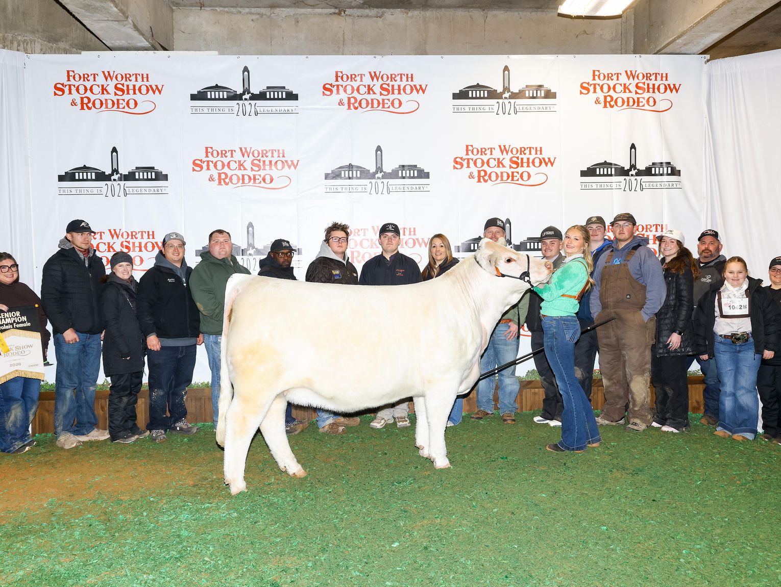 Anderson student shows champion heifer