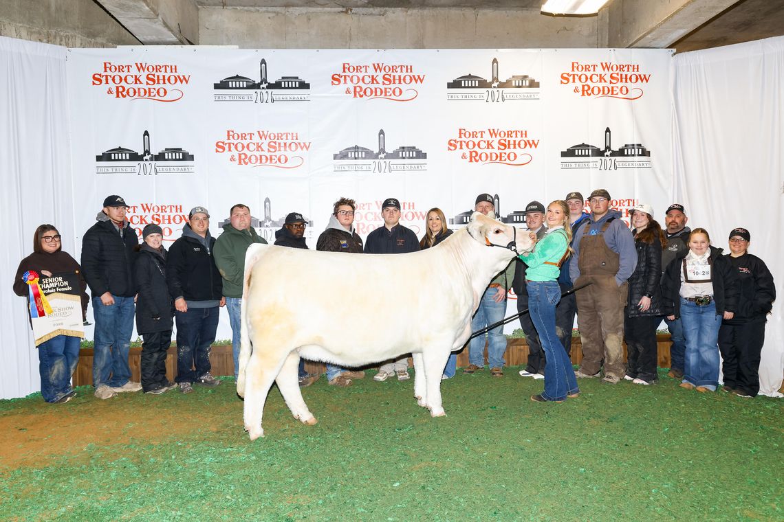Anderson student shows champion heifer