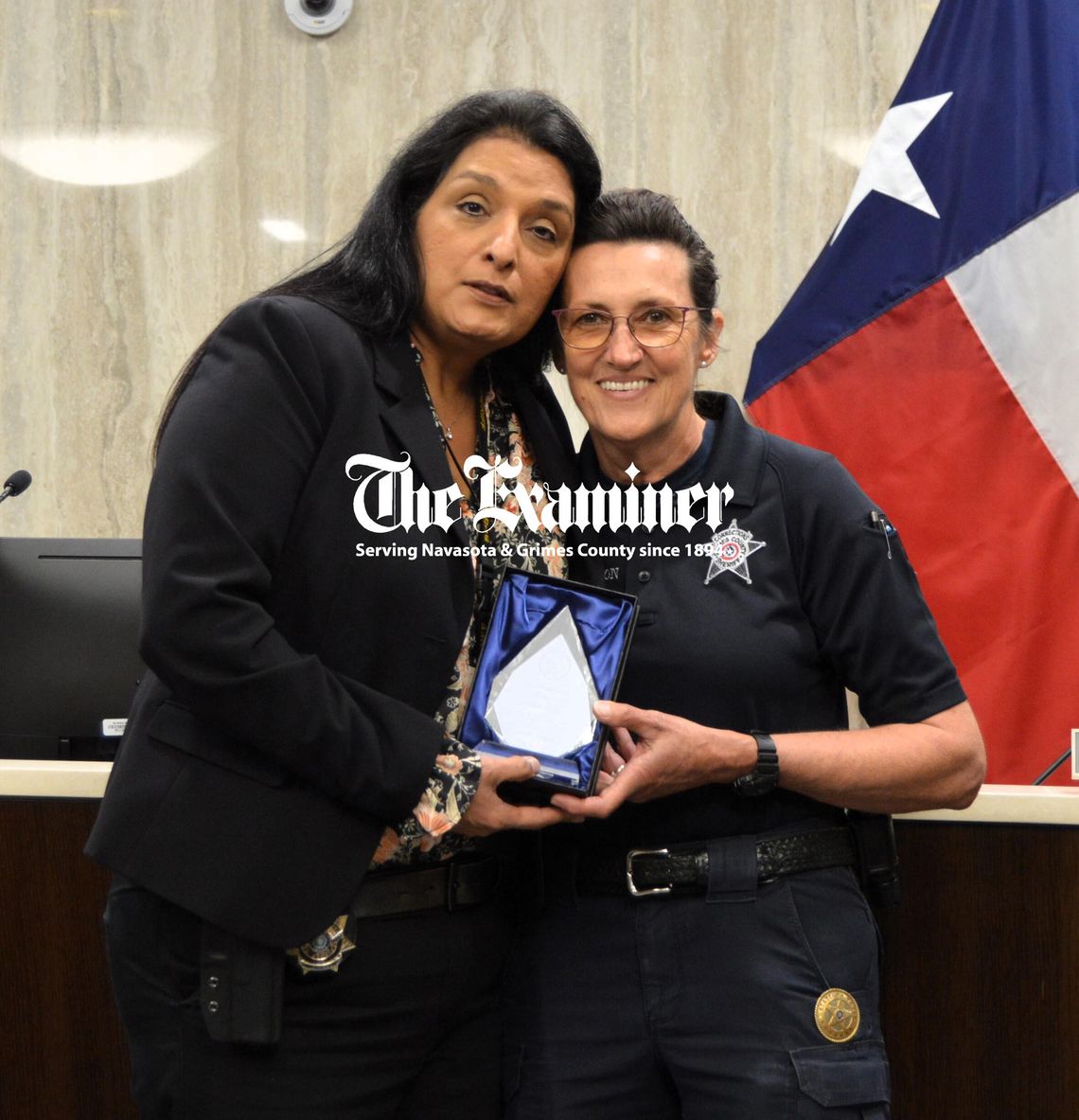 Auto theft task force takes bite out of vehicular crime